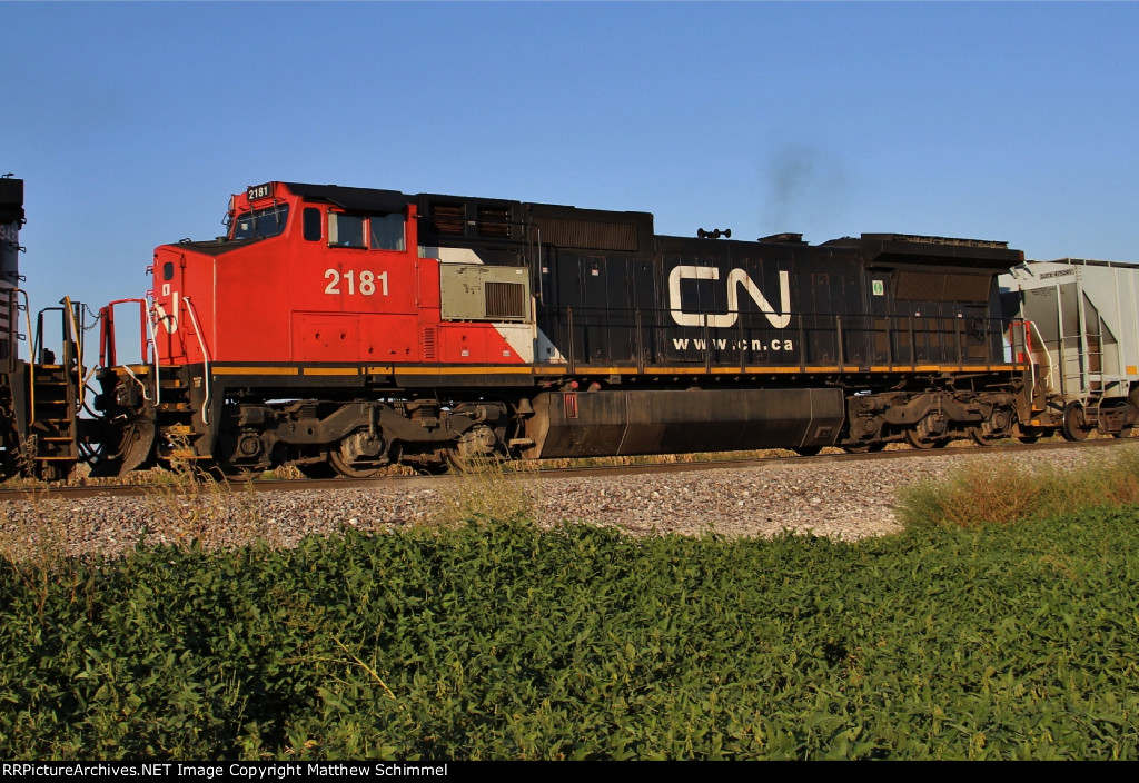 CN 2181